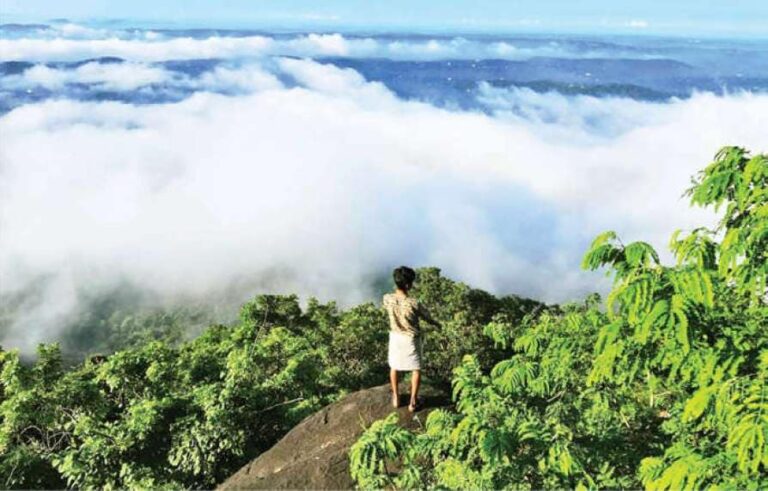 Watch the magic of Snowfall at Panthalloor near Pandikkad.